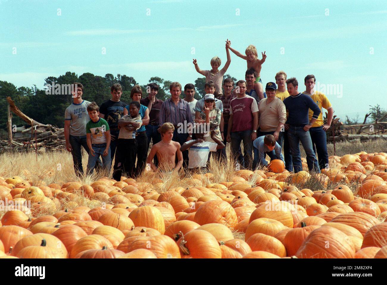 Volunteers from the nuclear-powered aircraft carrier USS CARL VINSON ...