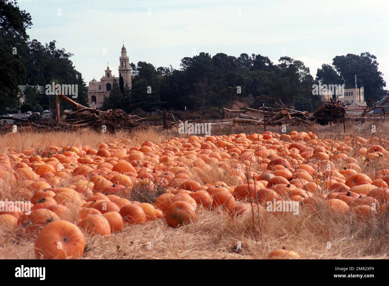 Uss carl vincent hi-res stock photography and images - Alamy