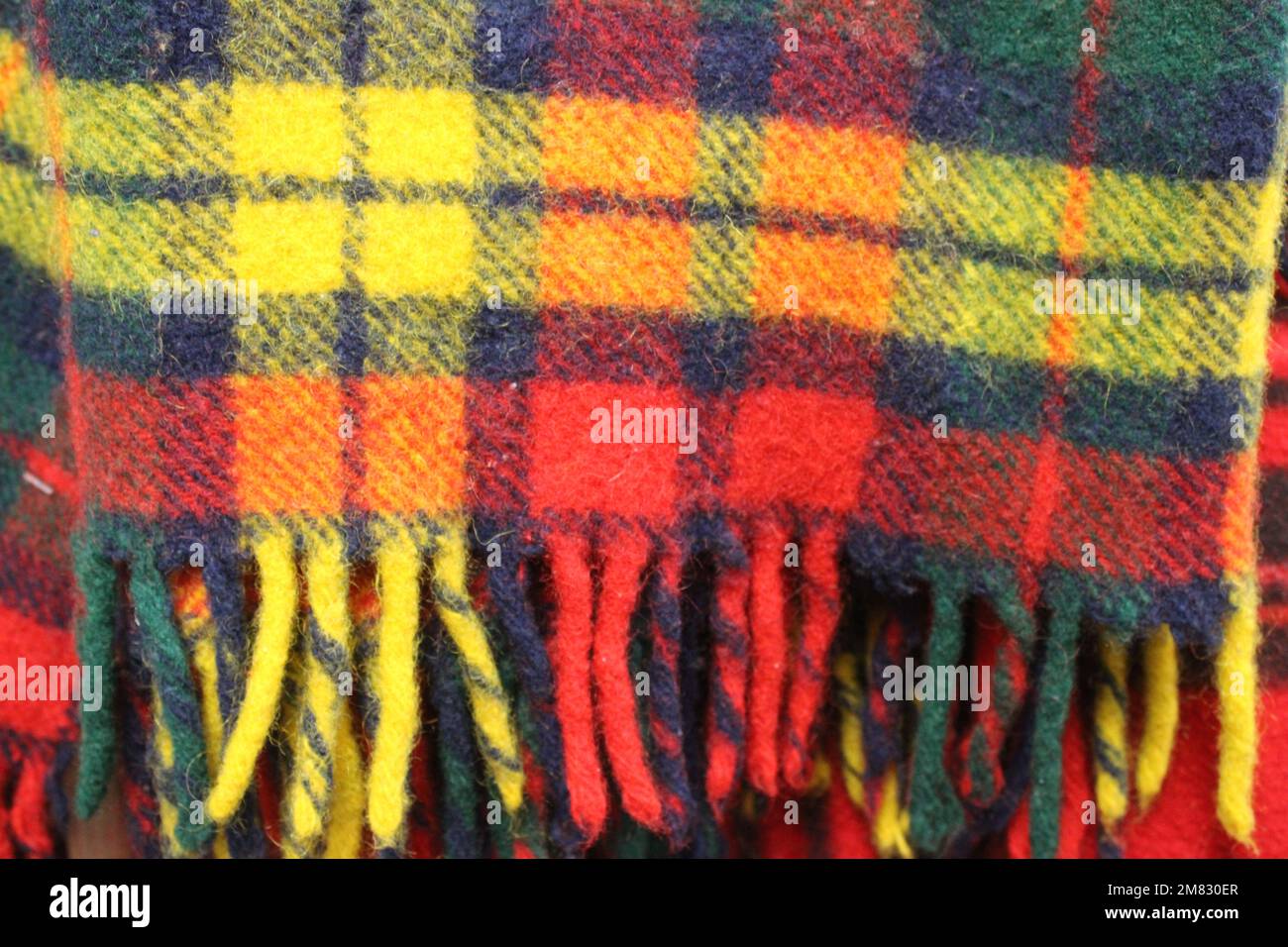 Yellow tartan hi-res stock photography and images - Alamy