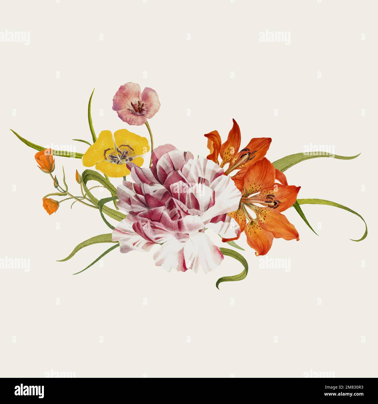 Vintage spring flower vector illustration, remixed from public domain ...
