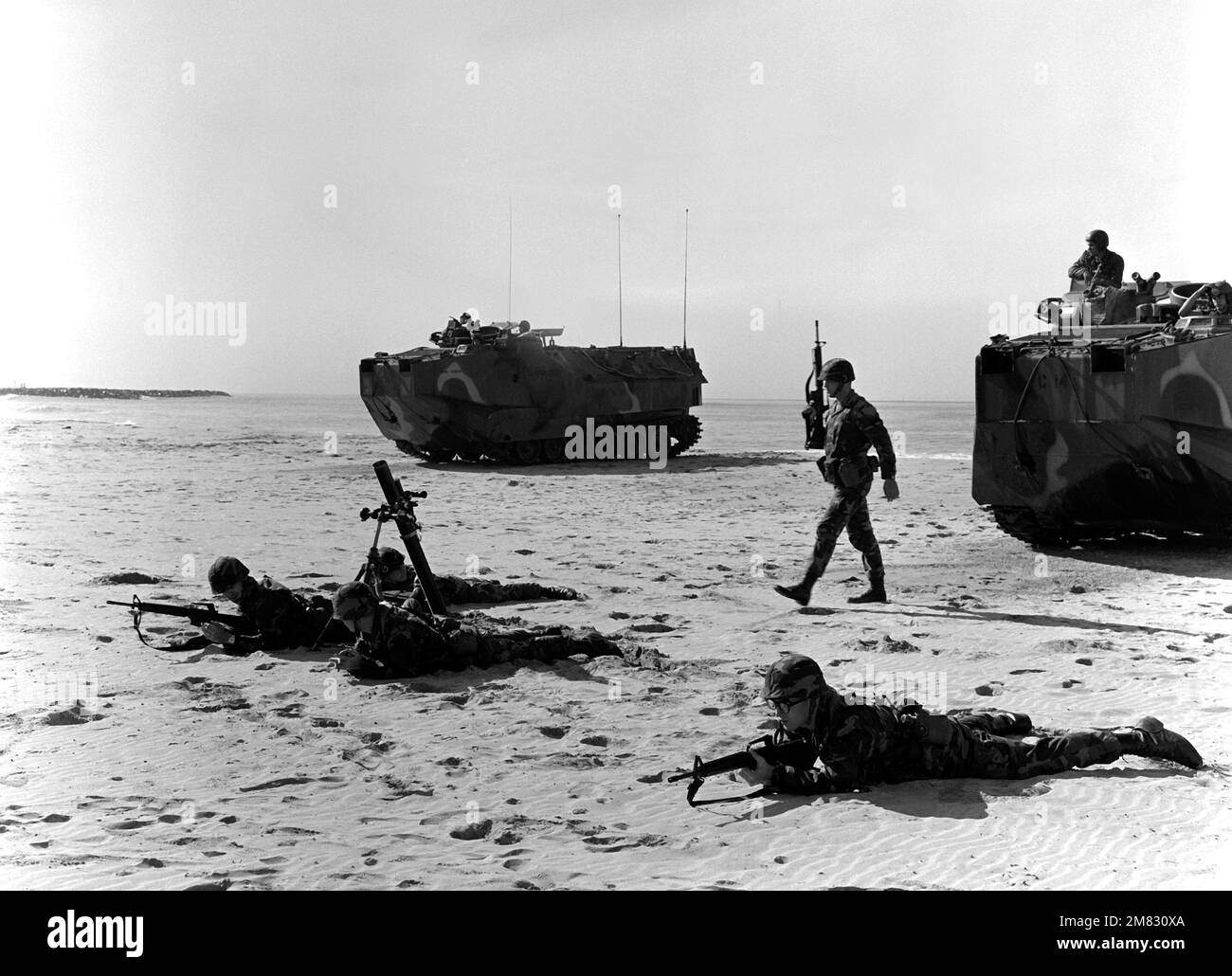 Members of Weapons Co., 1ST Bn., 5th Marines, take up positions in ...