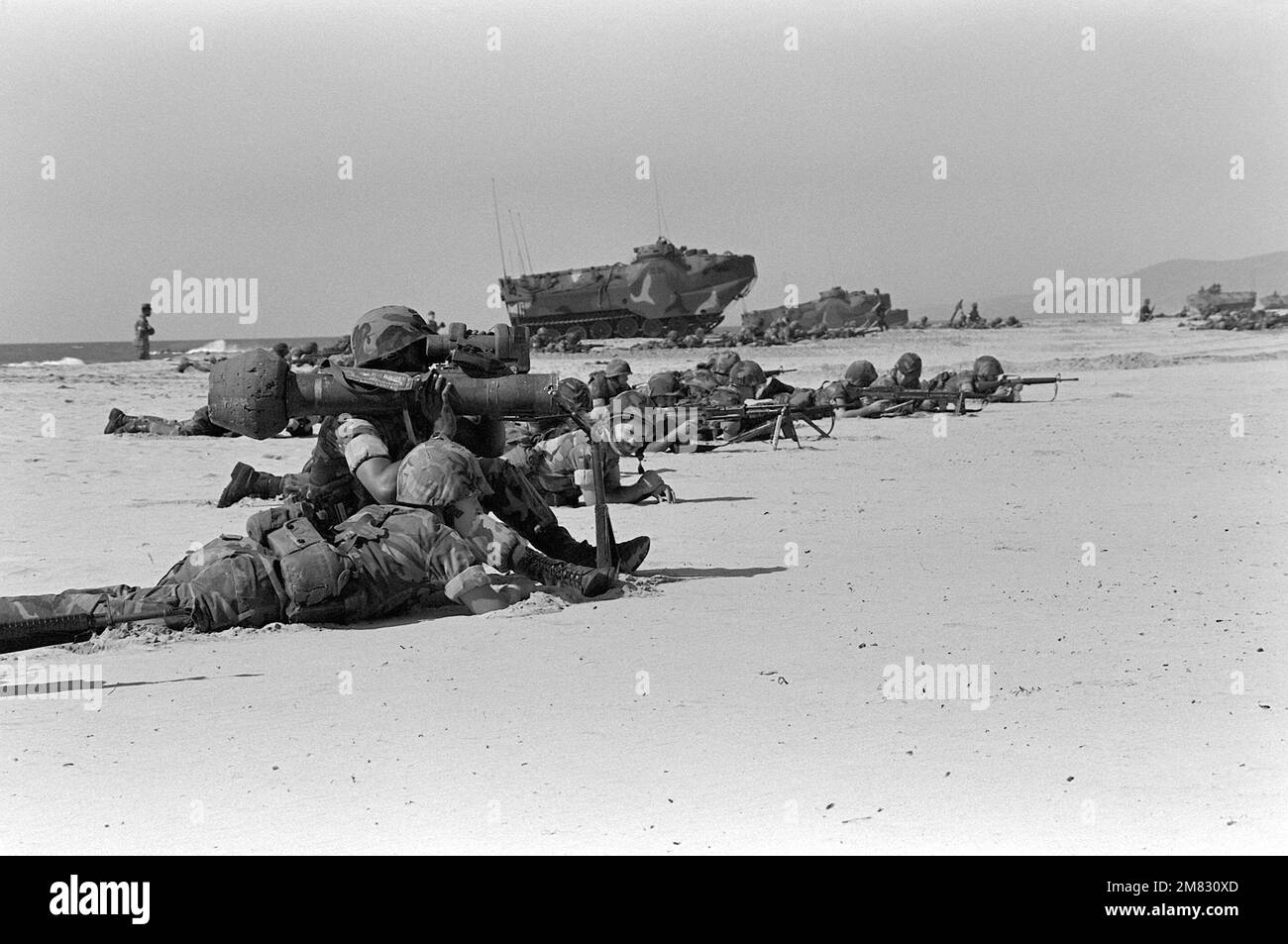 Members of Co. C, 1ST Bn., 5th Marines, take up prone firing positions ...