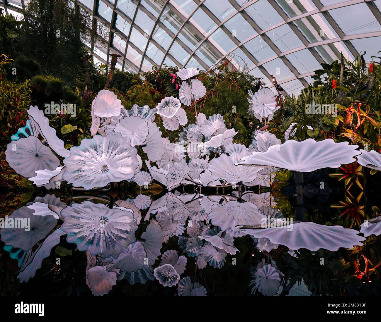 Beautiful Reflection of Flowers on water Stock Photo - Alamy
