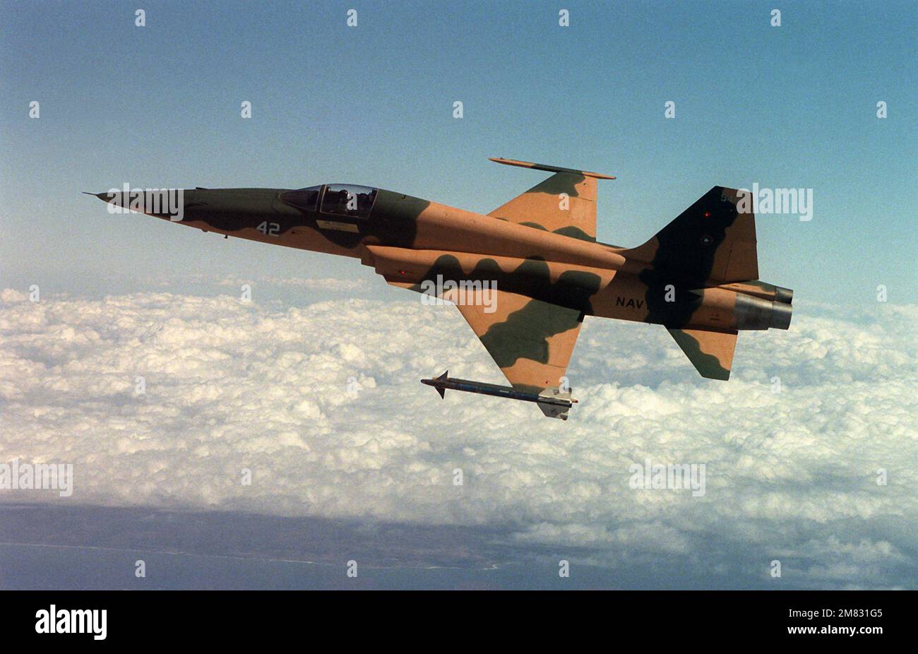 An air-to-air left side view of a U.S. Navy F-5 Tiger II aircraft armed ...