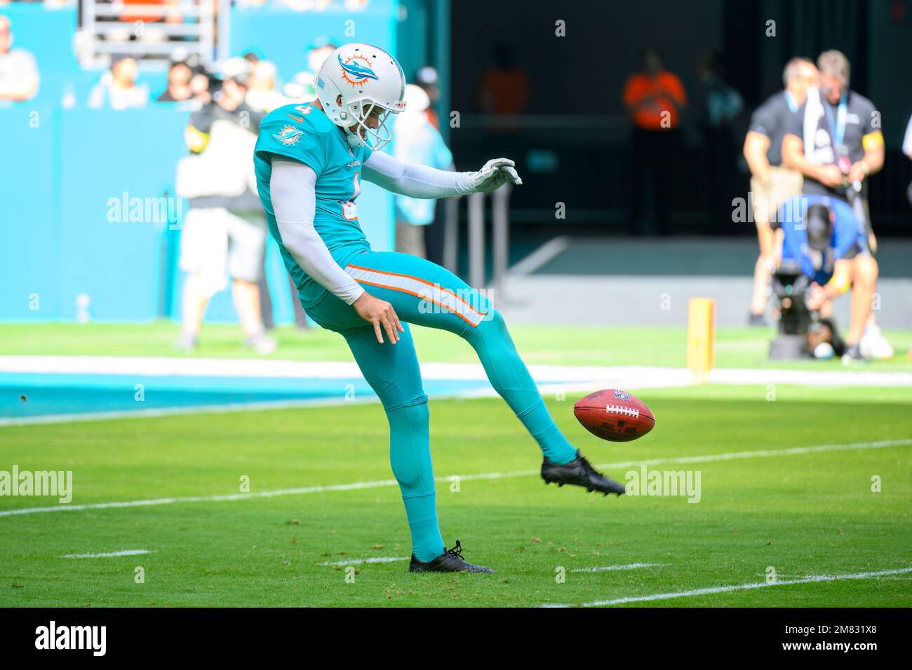 Miami Dolphins punter Thomas Morstead (4) punts the ball during an NFL ...