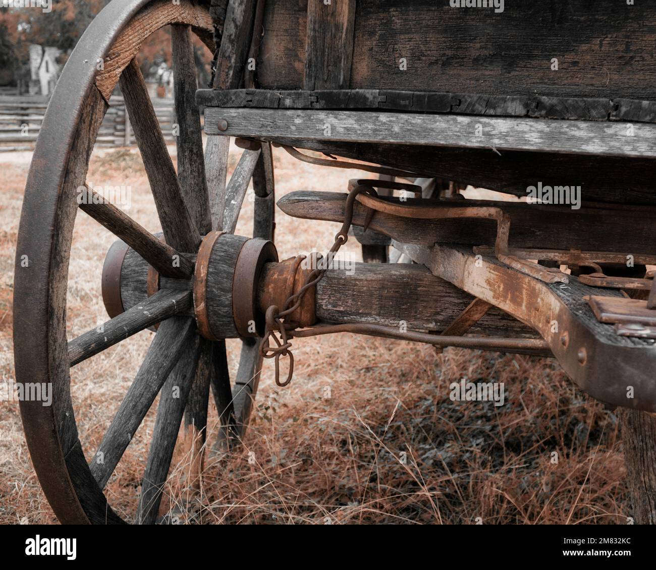 Images of wagon hi-res stock photography and images - Alamy