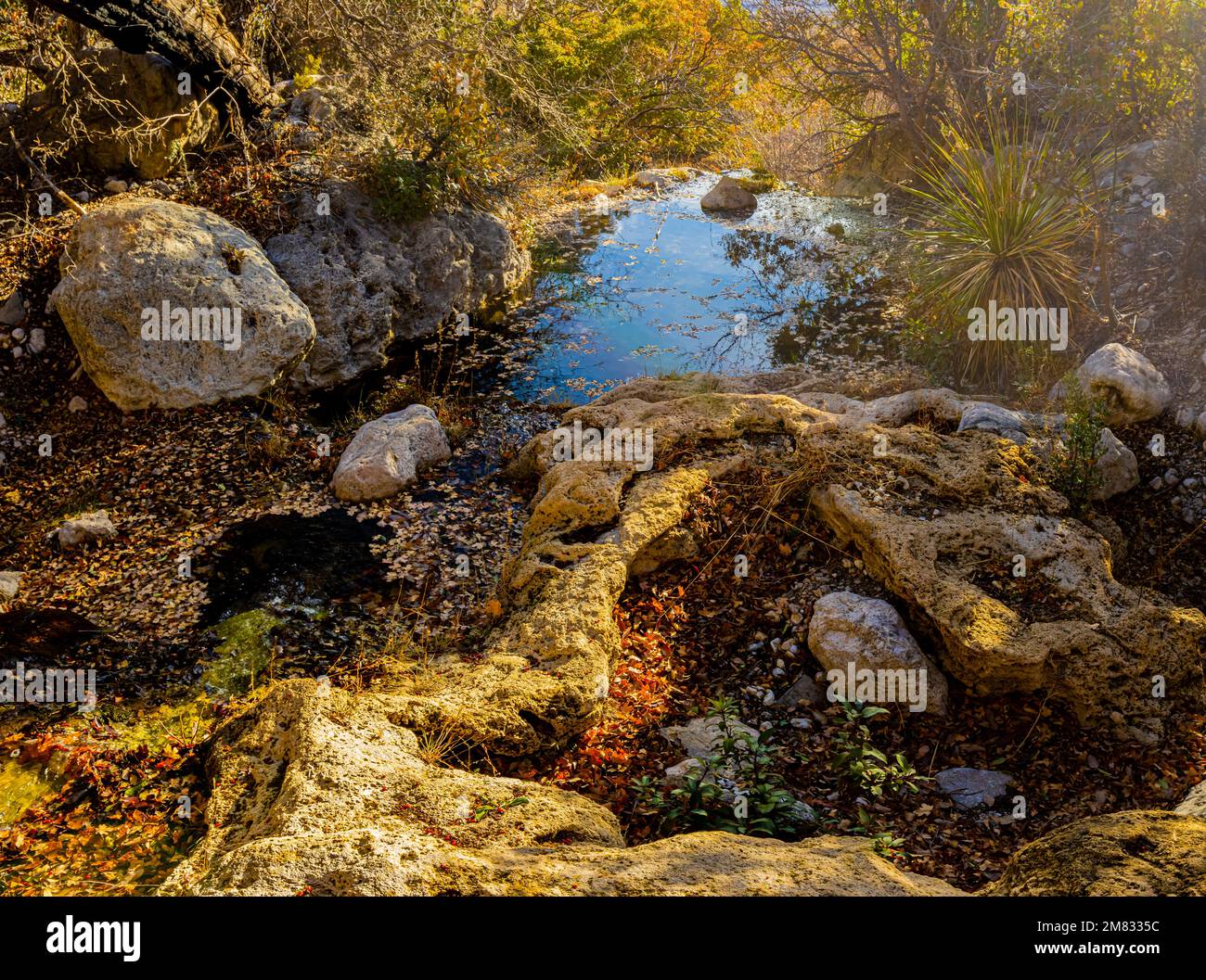 Frijole trail hi-res stock photography and images - Alamy