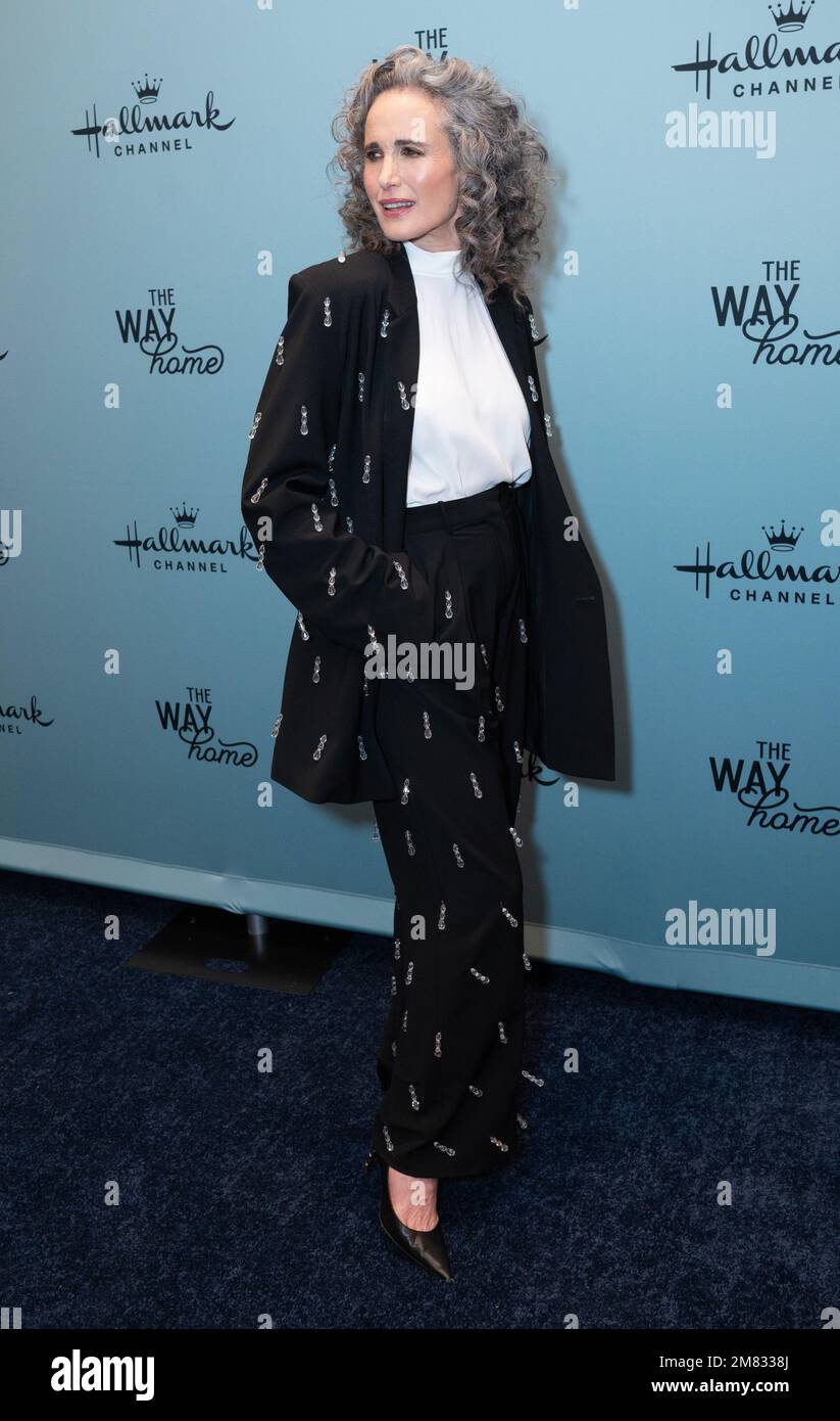 Andie MacDowell wearing dress by Michael Lo Sordo attends The New York ...