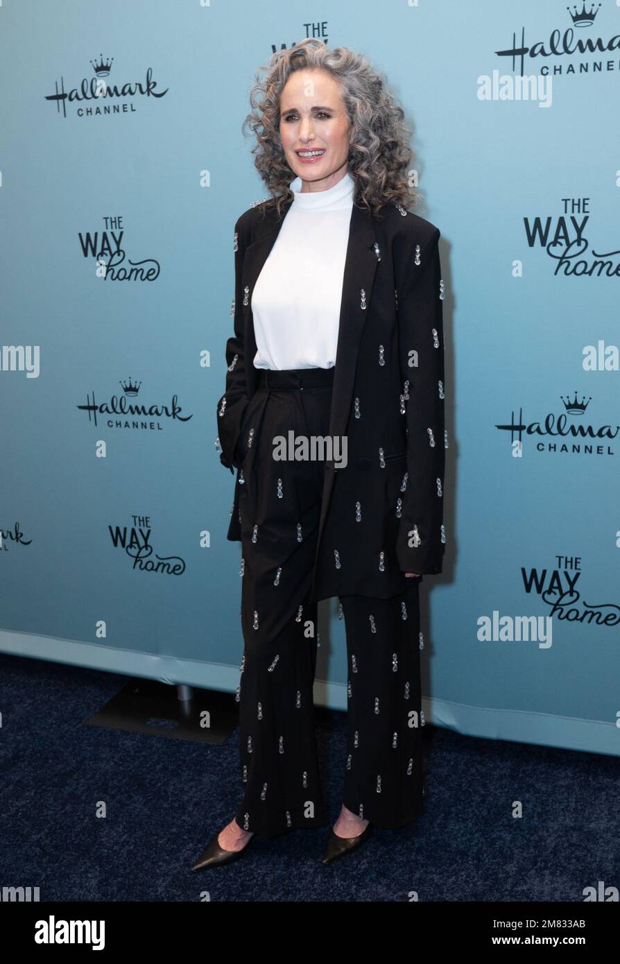 Andie MacDowell wearing dress by Michael Lo Sordo attends The New York ...