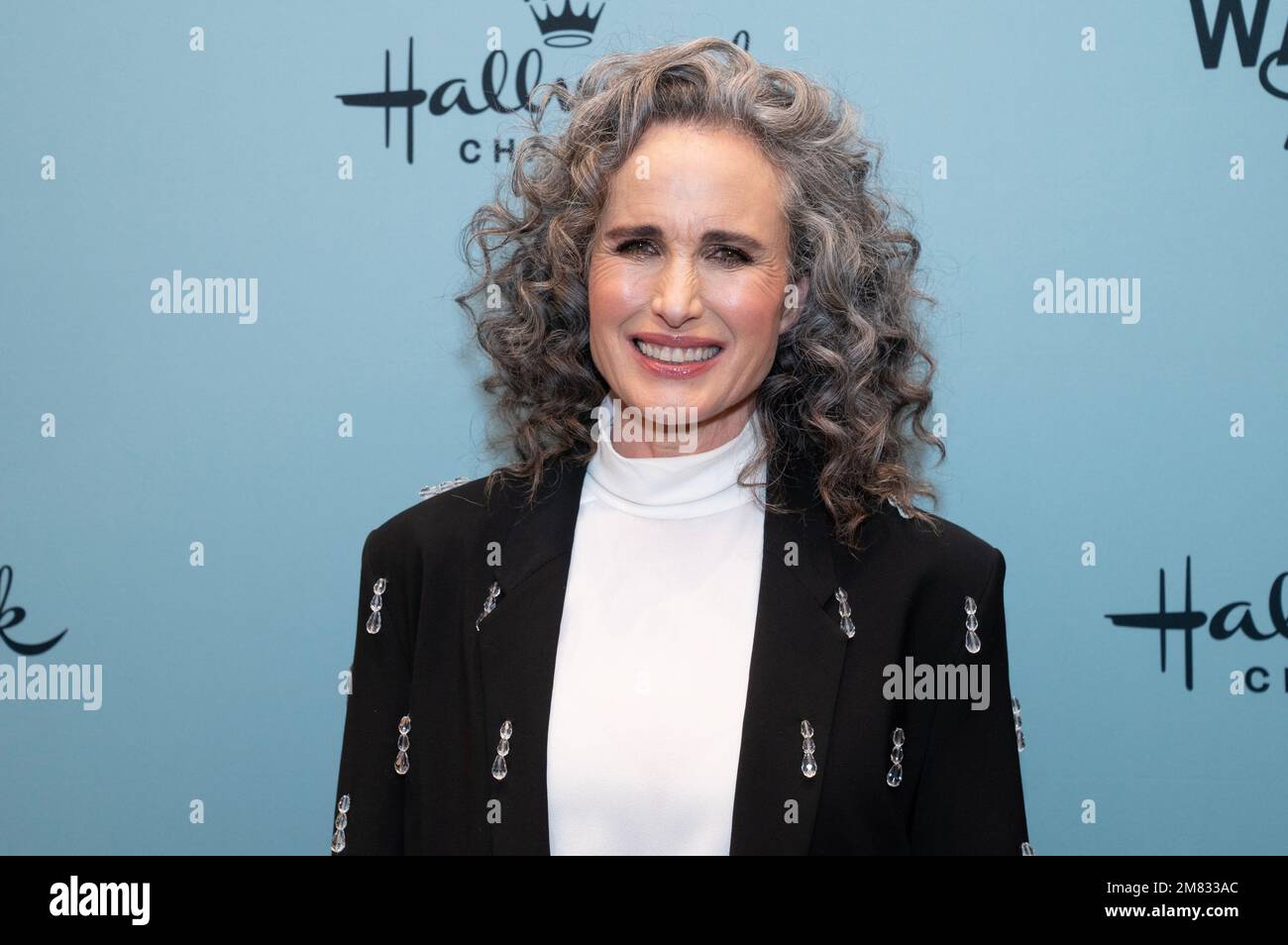 Andie MacDowell wearing dress by Michael Lo Sordo attends The New York ...