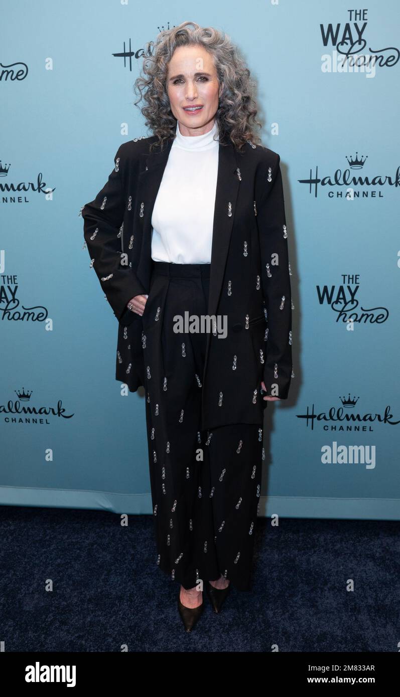 Andie MacDowell wearing dress by Michael Lo Sordo attends The New York ...