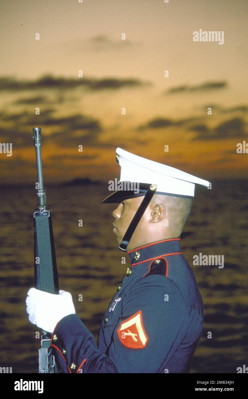 A Marine honor guard stands in present arms position during a burial at ...
