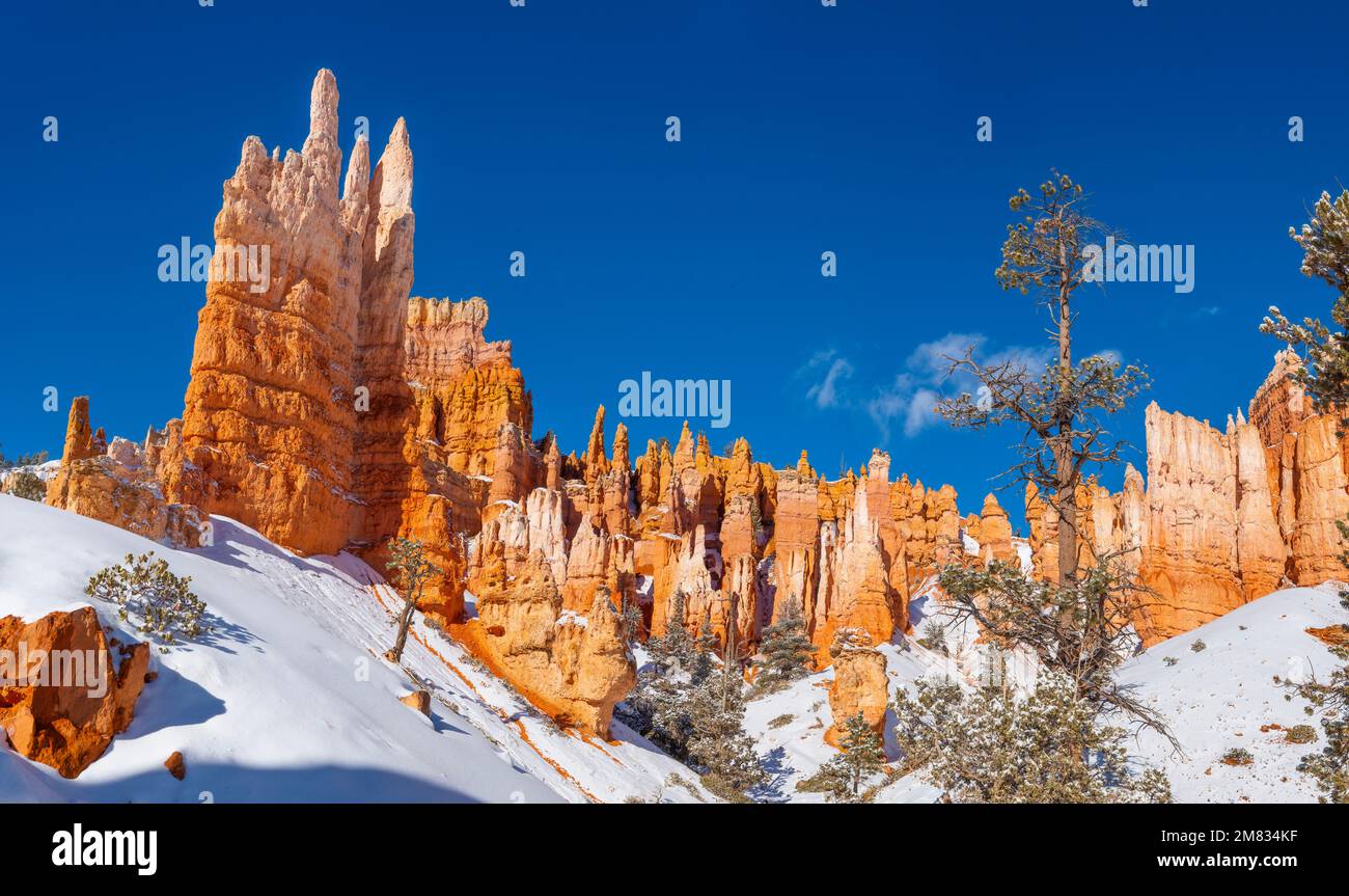 Navajo loop bryce canyon tourist hi-res stock photography and images ...