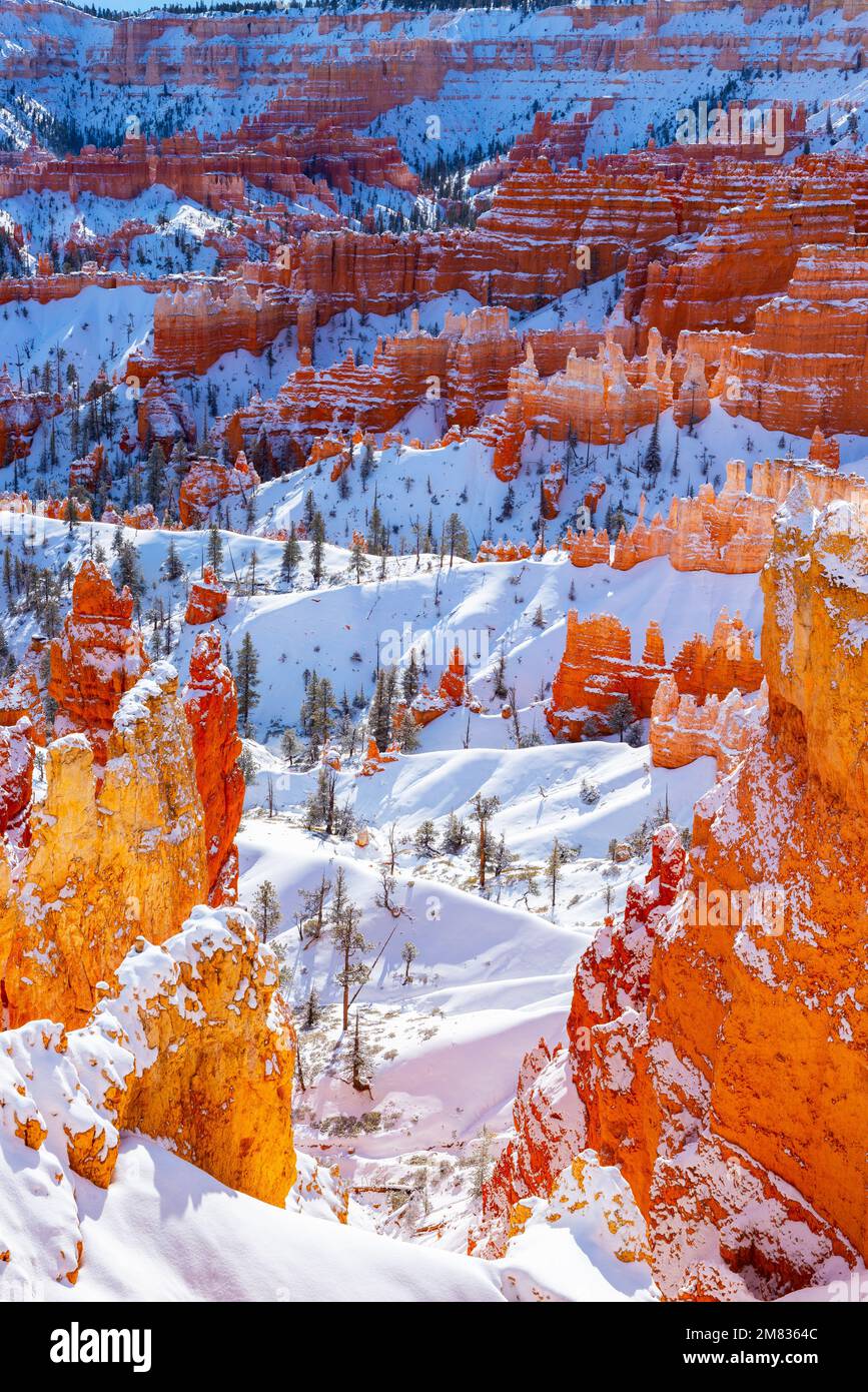 Bryce Canyon National Park Stock Photo - Alamy
