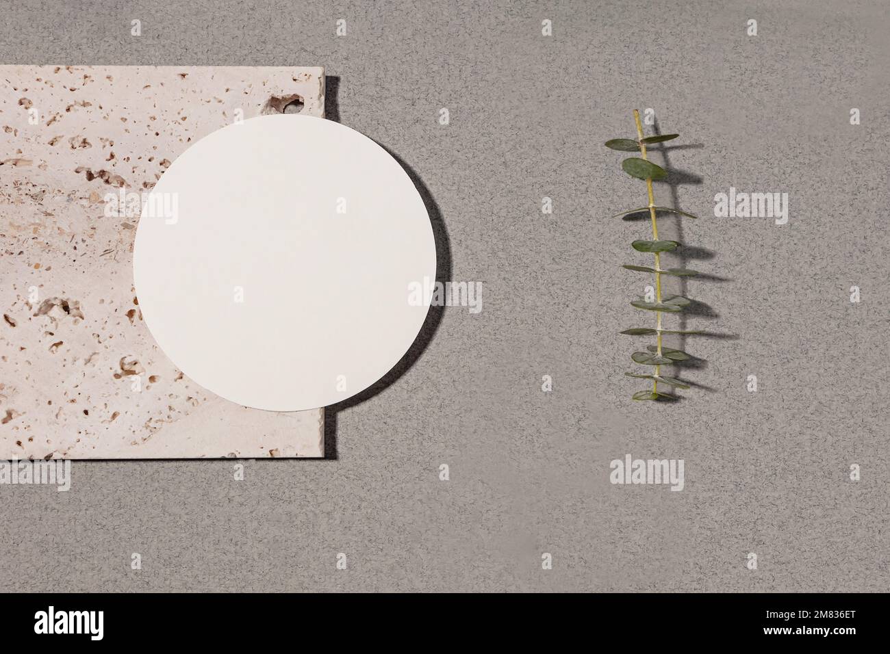 Circle paper mock-up, minimalist modern still life composition ...