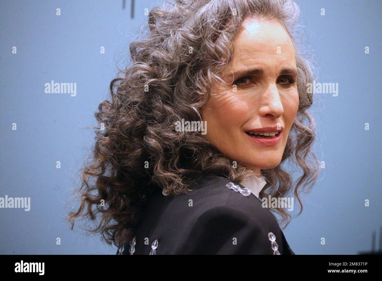 Andie MacDowell attends the premiere of the TV show "The Way Home" in ...