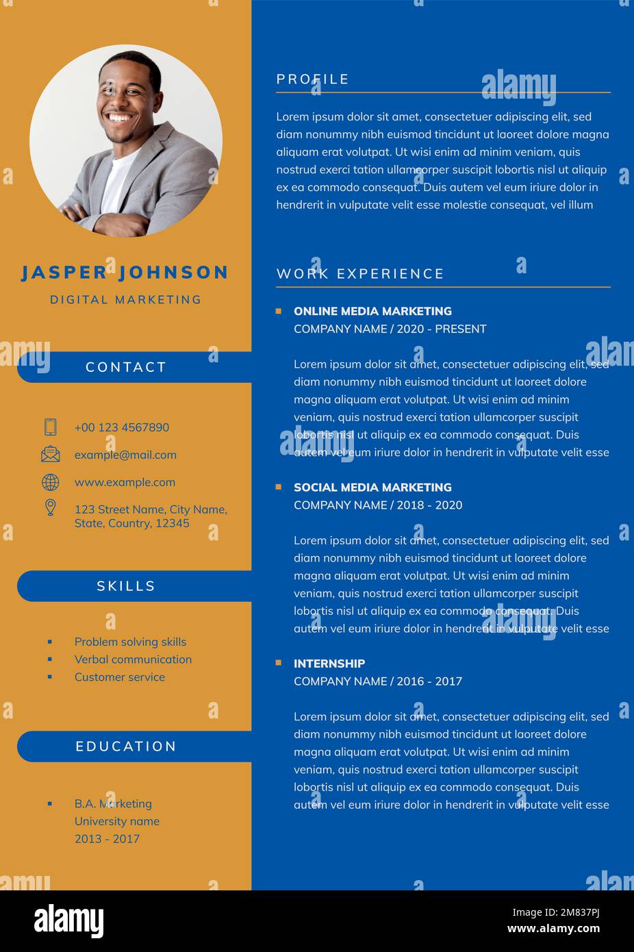 Professional CV editable template vector for professionals and ...