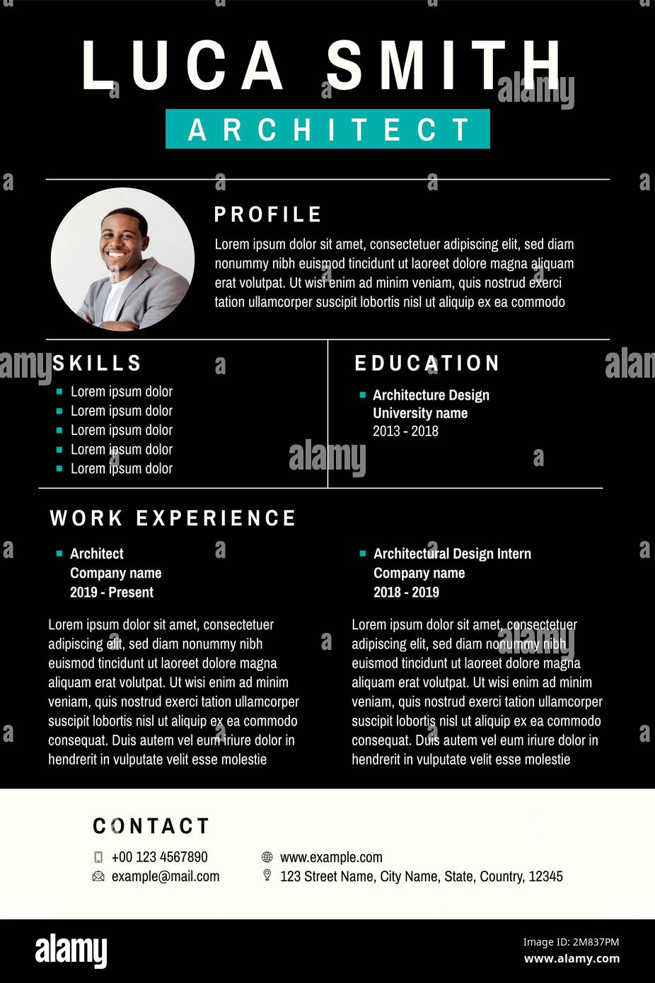 Professional CV editable template vector for professionals and ...