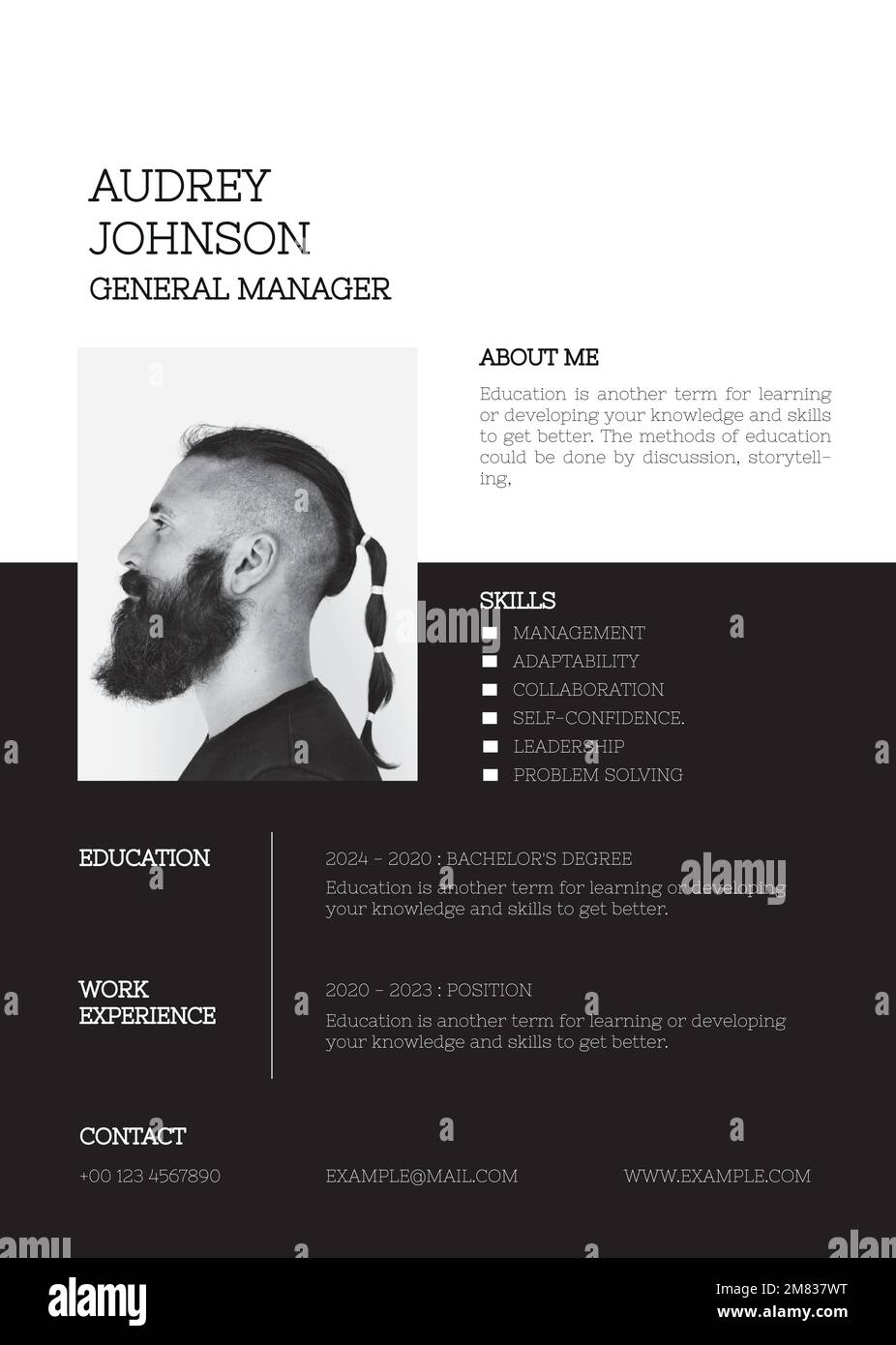 Professional CV editable template vector for professionals and ...