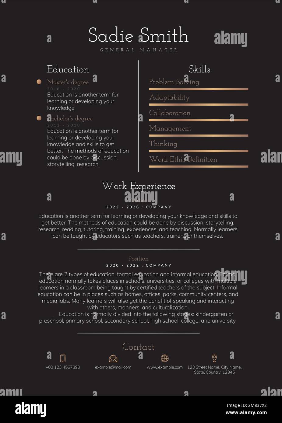 Professional CV editable template vector for professionals and ...