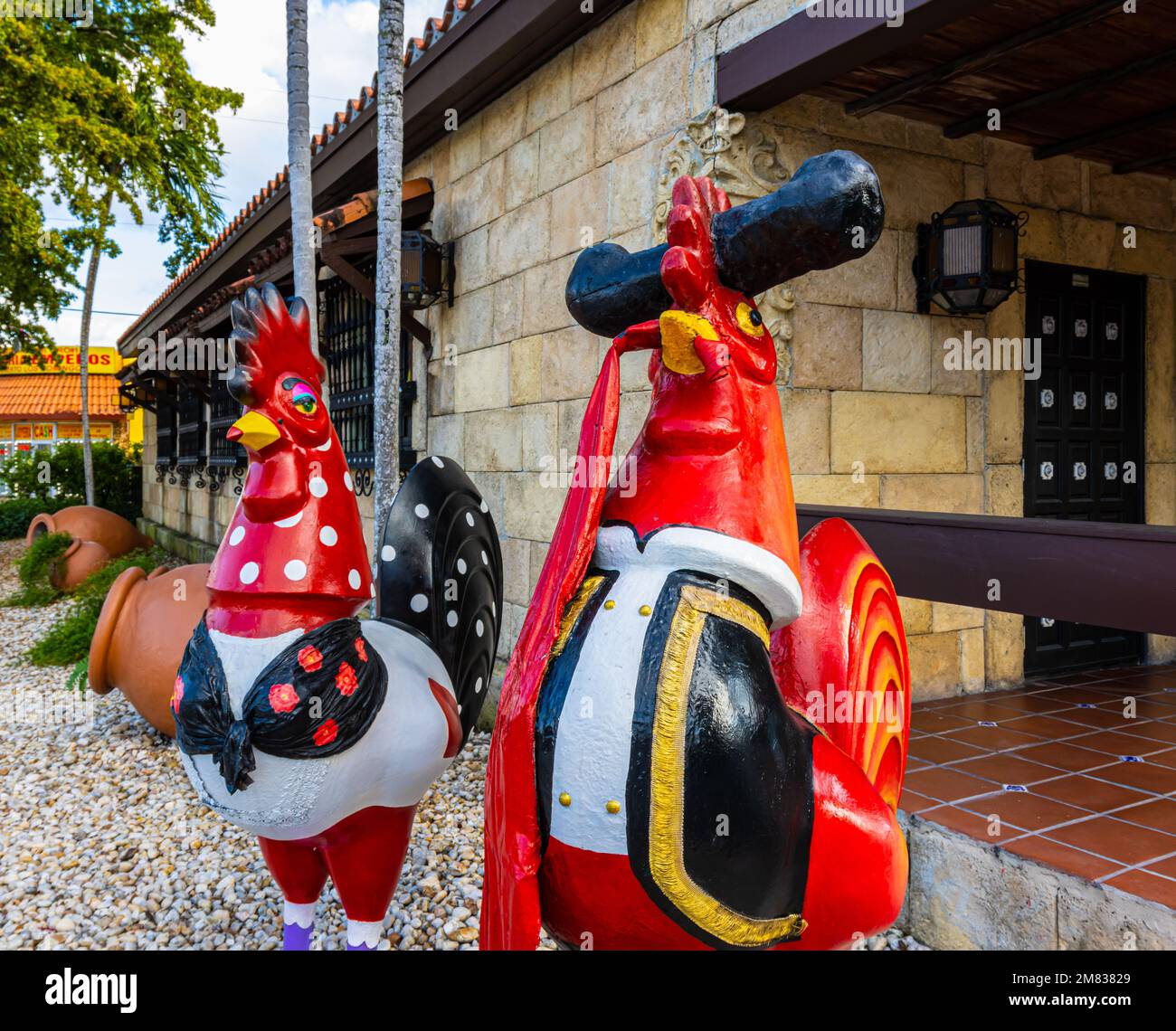 Colorful Chicken Sculptures in Little Havana, Miami, Florida, USA Stock ...