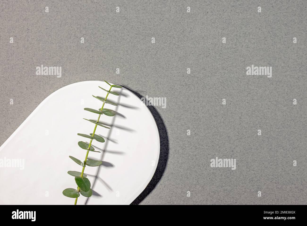 Minimalist modern still life composition with arch stone, eucalyptus ...