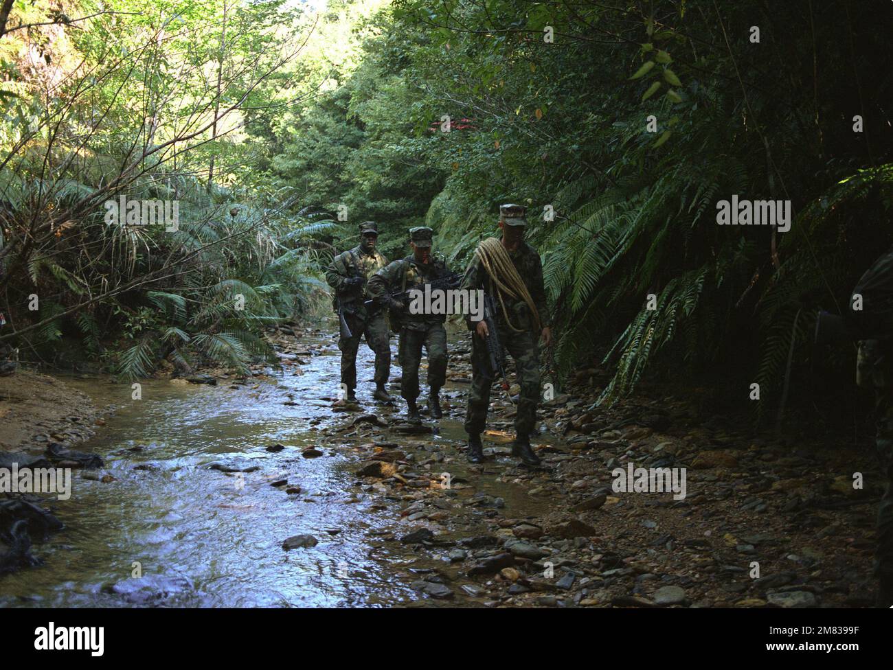 Members of 3rd Battalion, 9th Marines, move through a creek bottom ...