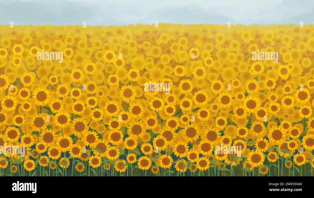 Sunflower field pictures Stock Vector Images - Alamy