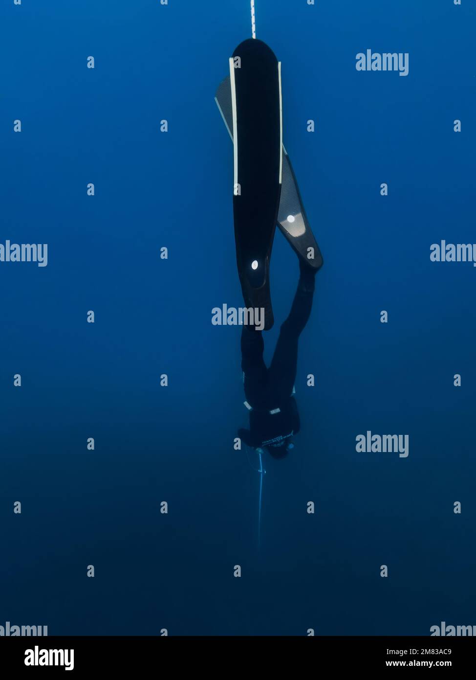 October 03, 2022. Amed, Indonesia. Freediver in wetsuit with fins ...