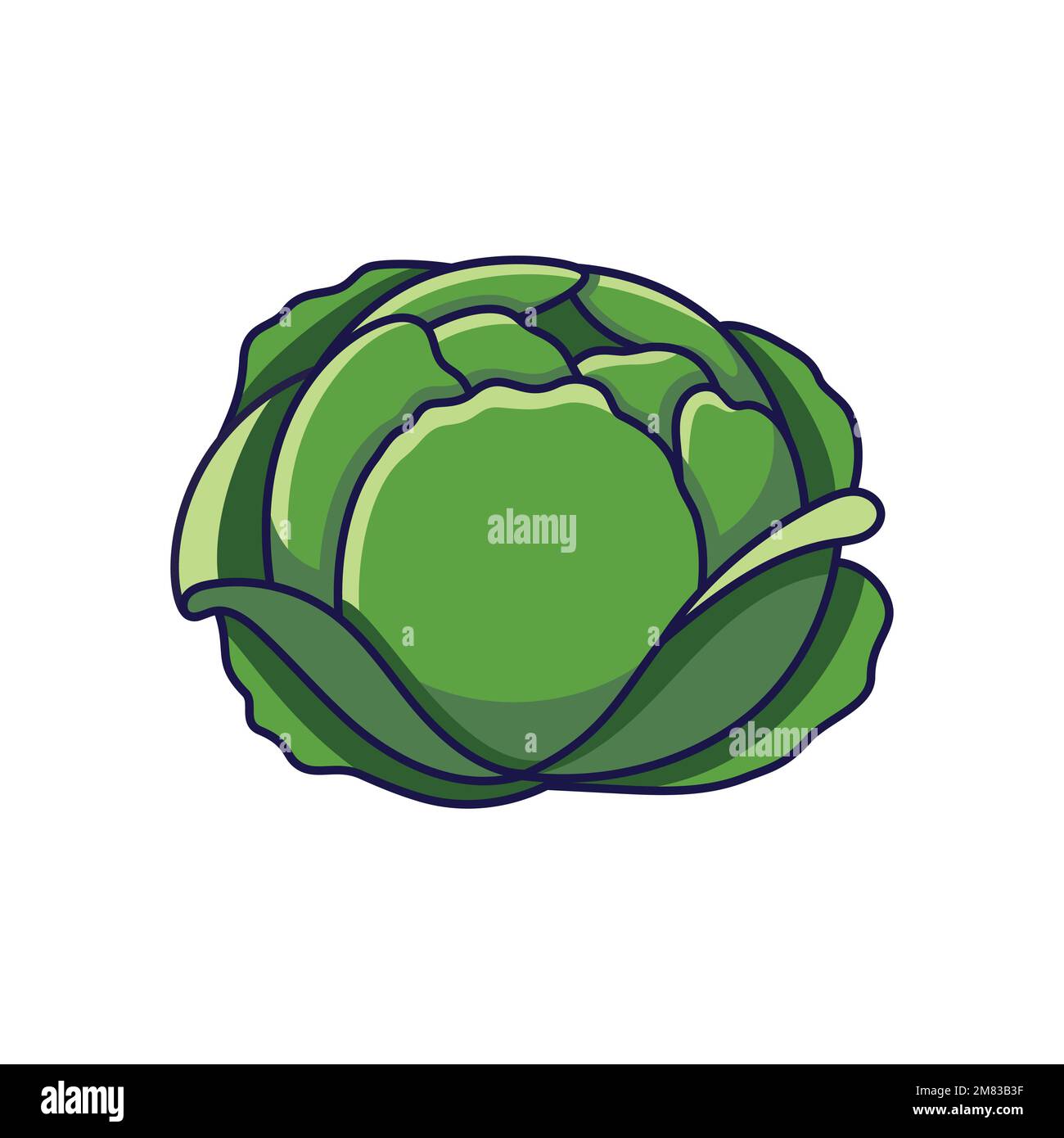 Cute Cabbage cartoon icon illustration. Food vegetable flat icon ...