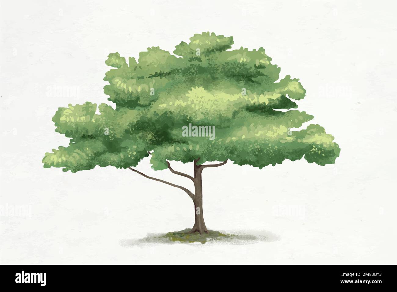 Oak tree element graphic vector on plain background Stock Vector Image ...