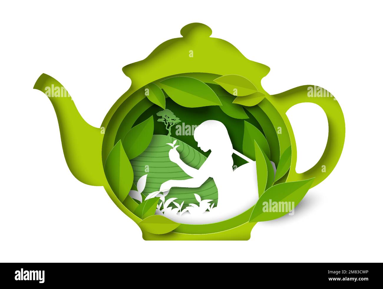 Vector tea pot with woman harvesting herbs Stock Vector Image & Art - Alamy