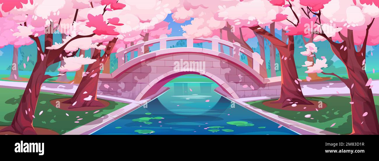 Japanese cherry garden with bridge and sakura blossom. Spring landscape ...