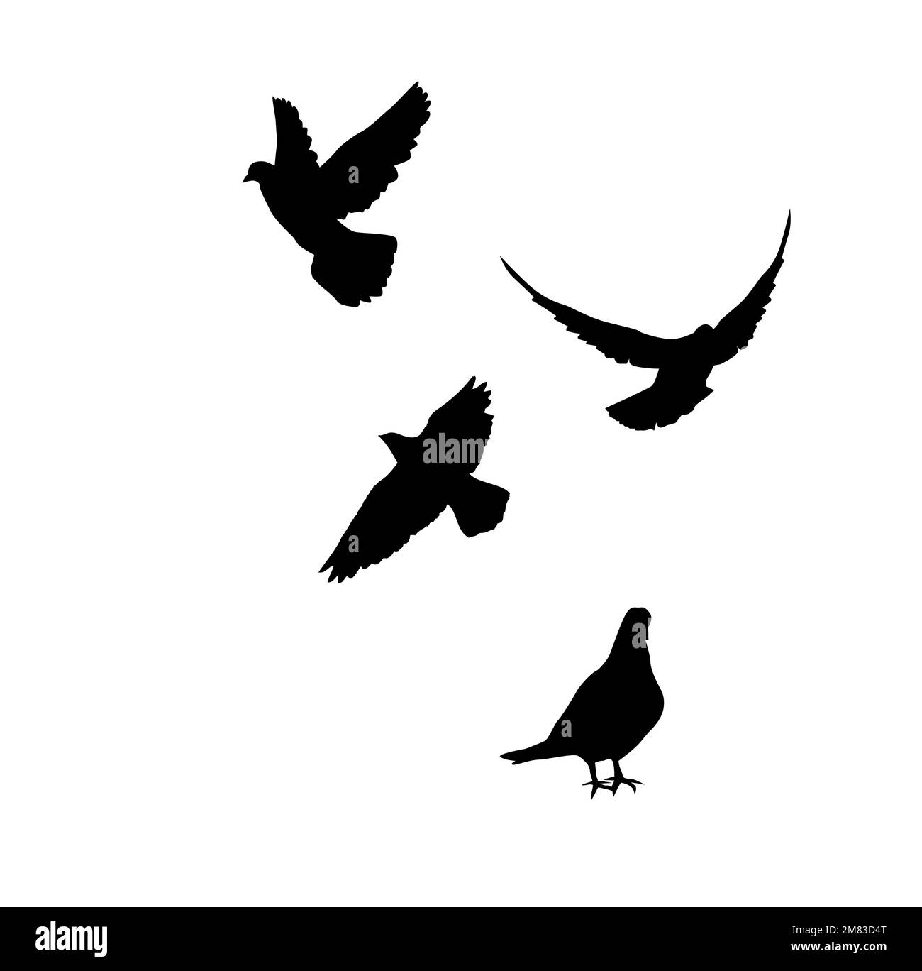 Doves flying isolated icon Cut Out Stock Images & Pictures - Alamy
