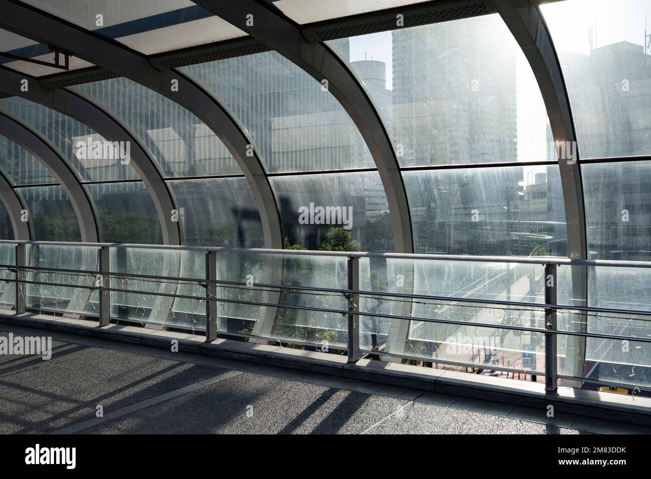 Yokohama, Kanagawa, Japan. 5th Nov, 2022. A walkway leading to the ...