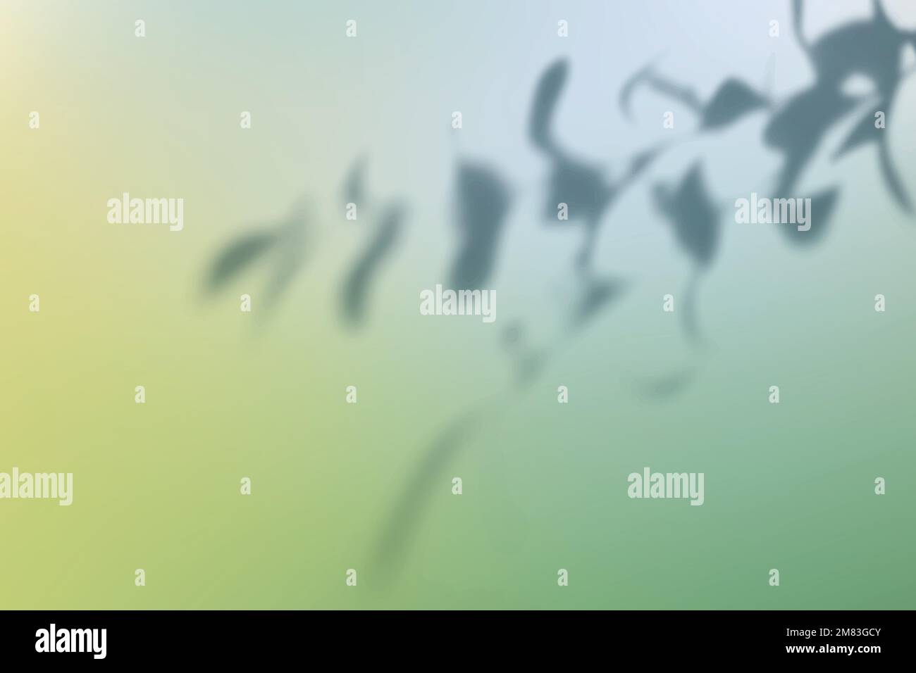 Abstract green gradient background vector with leaf shadow Stock Vector ...