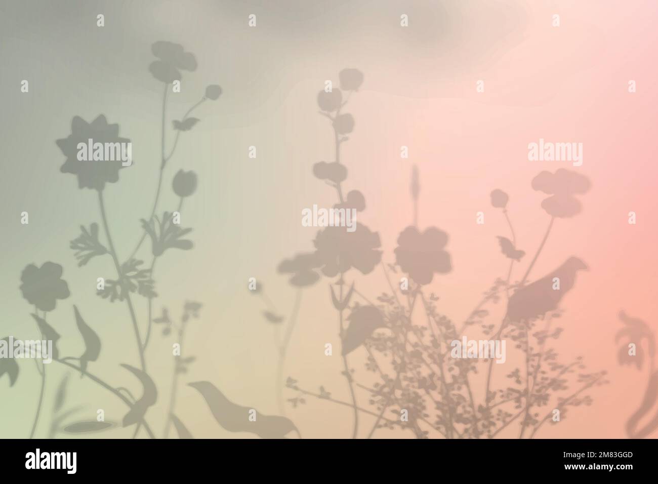 Flower shadow background vector colorful gradient Stock Vector Image ...
