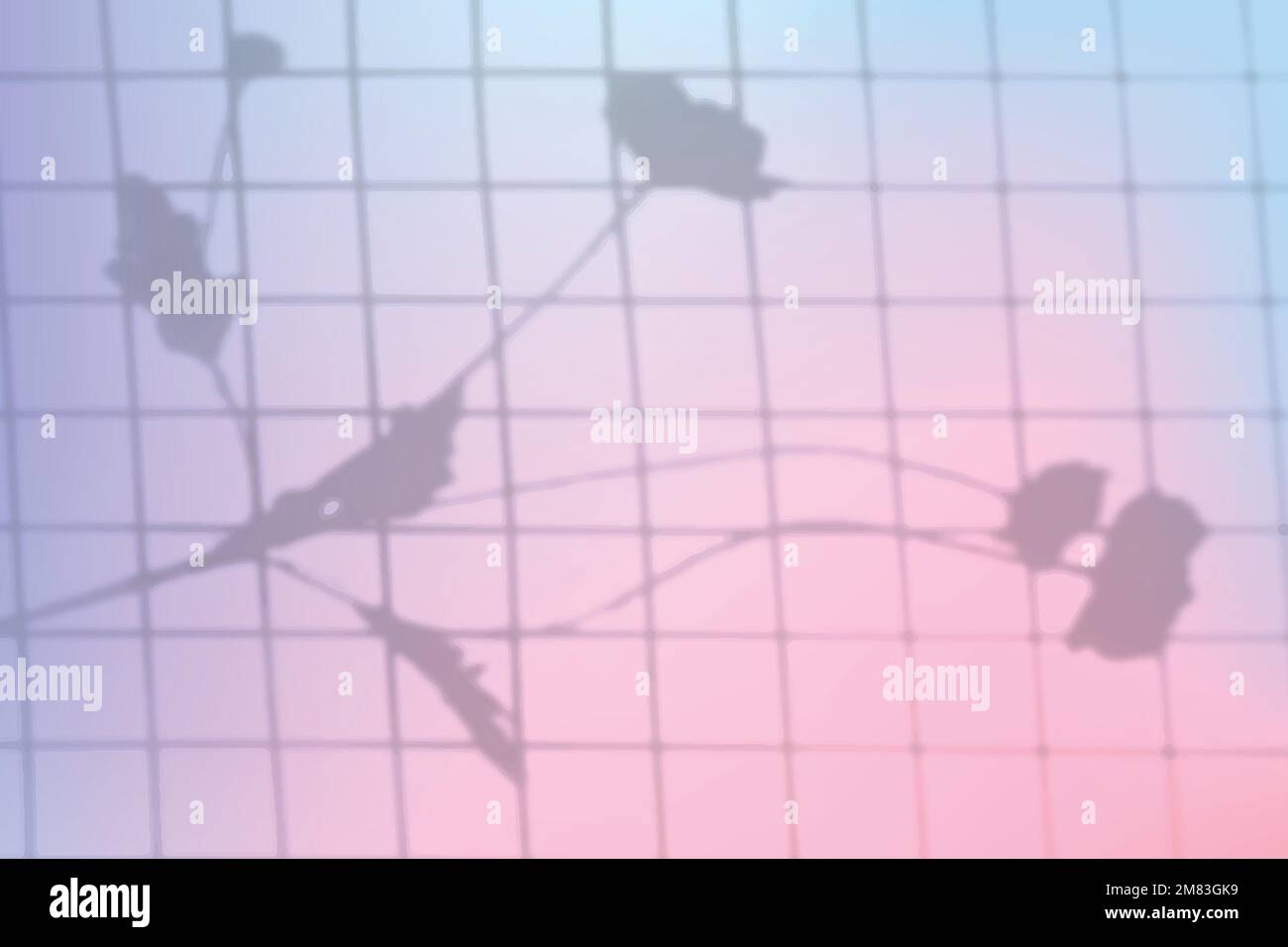 Aesthetic pastel gradient background vector with flowers shadow Stock ...