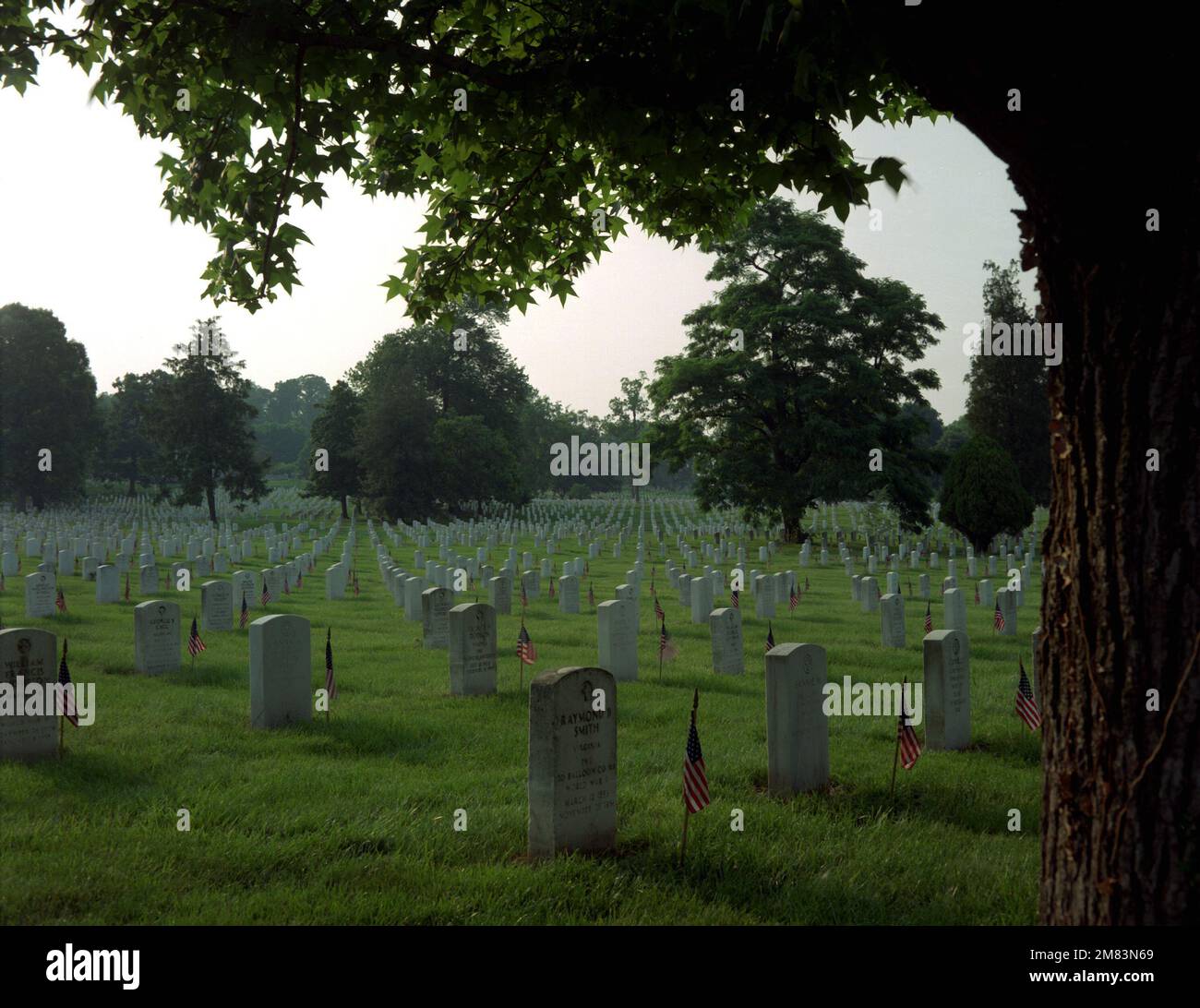 The tombstones at Arlington National Cemetery are decorated with the U ...