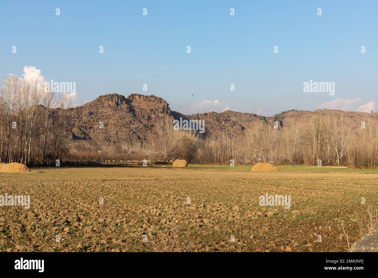 Beautiful farming landscape hi-res stock photography and images - Alamy