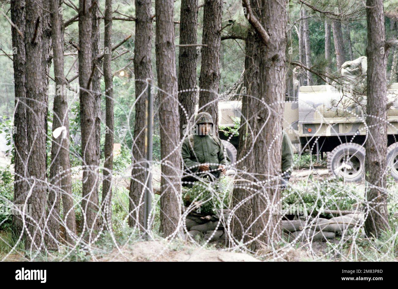 A marine stands in a foxhole in a wooded area behind a barbed tape ...