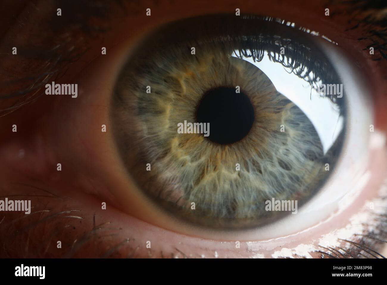 Wide open lens hi-res stock photography and images - Alamy