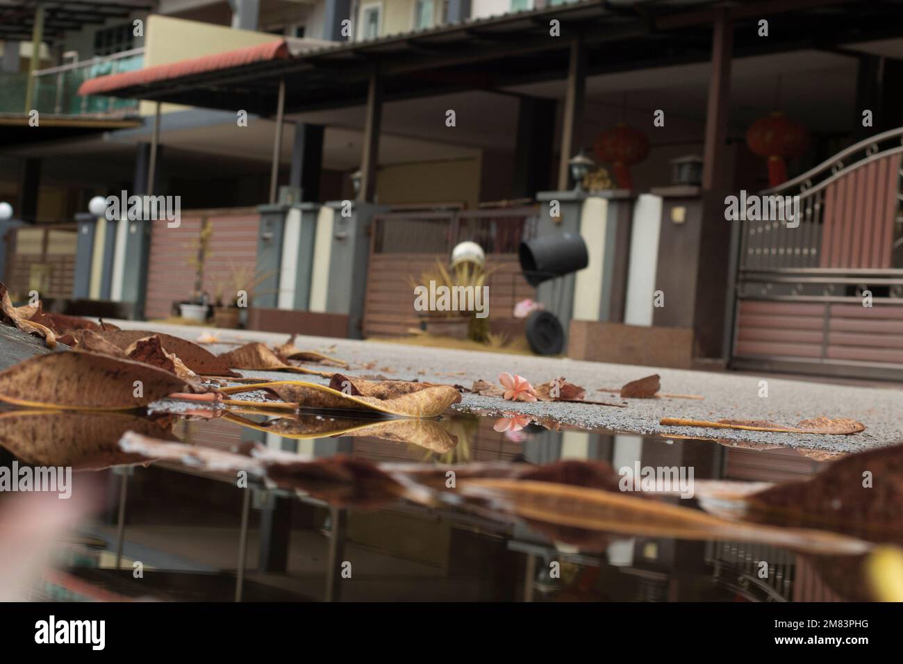 stagnant pool of water scene after rain at the suburb asphalt street ...