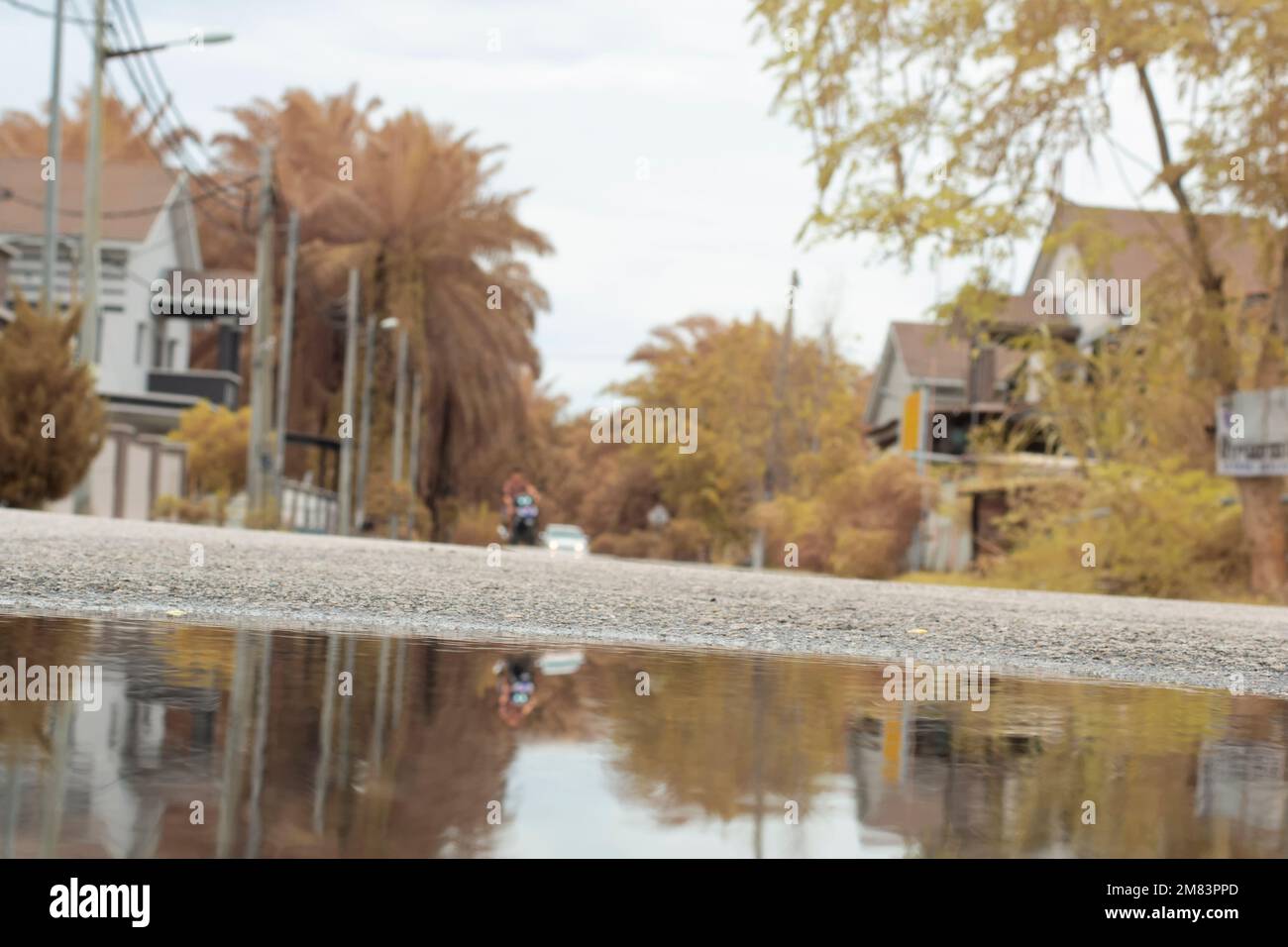 stagnant pool of water scene after rain at the suburb asphalt street ...