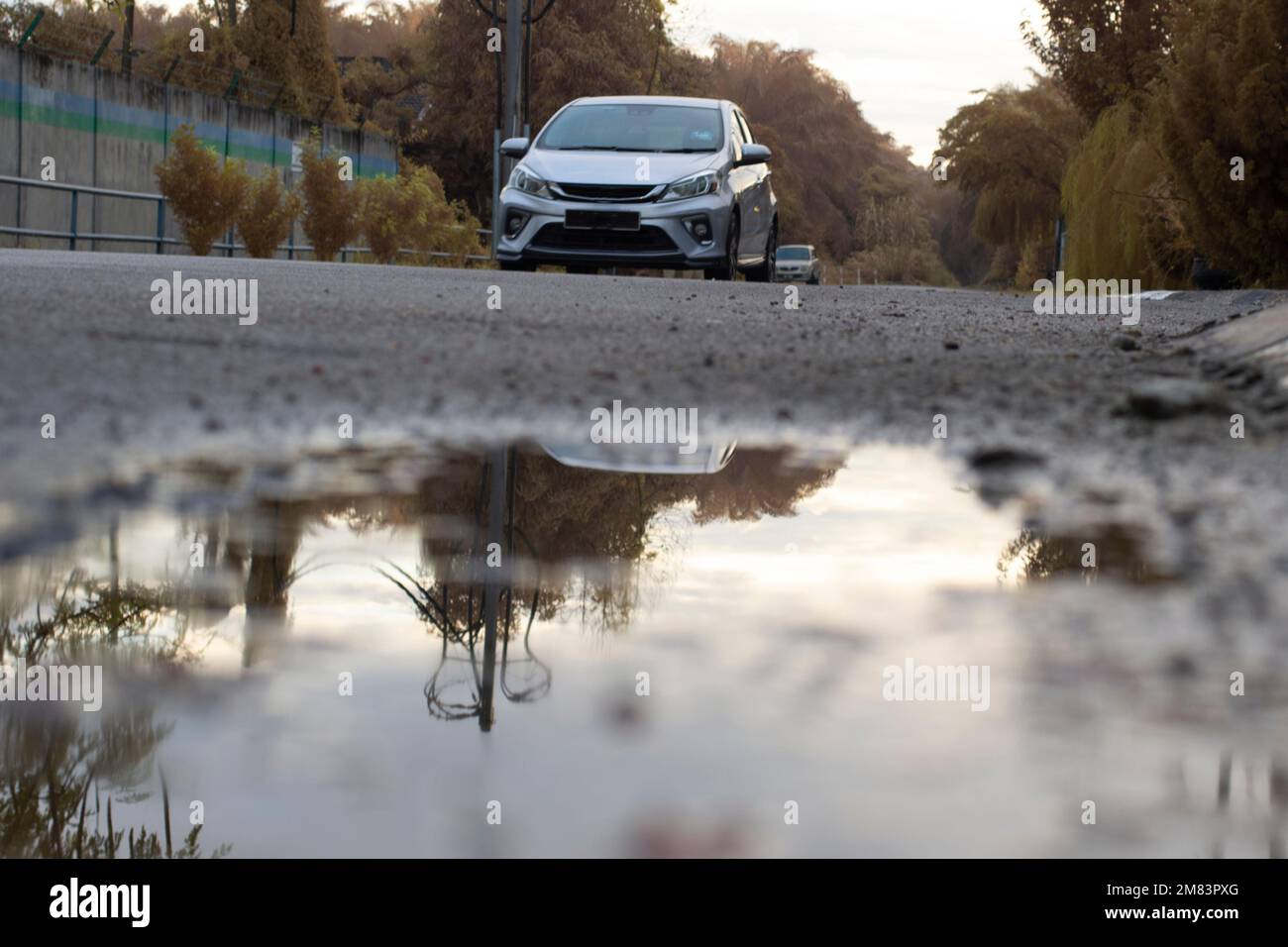 Scene stagnant pool water hi-res stock photography and images - Alamy