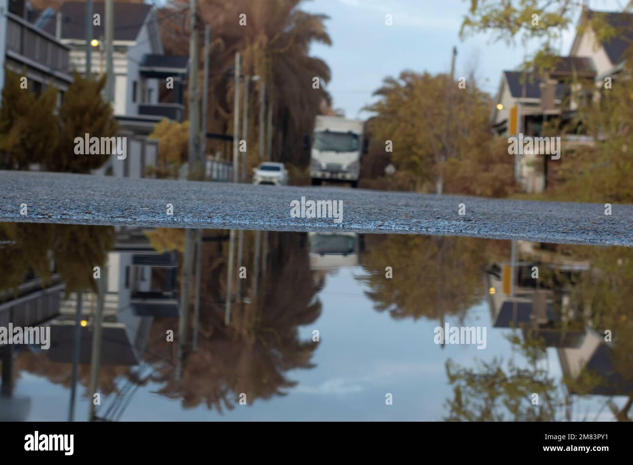 Scene stagnant pool water hi-res stock photography and images - Alamy