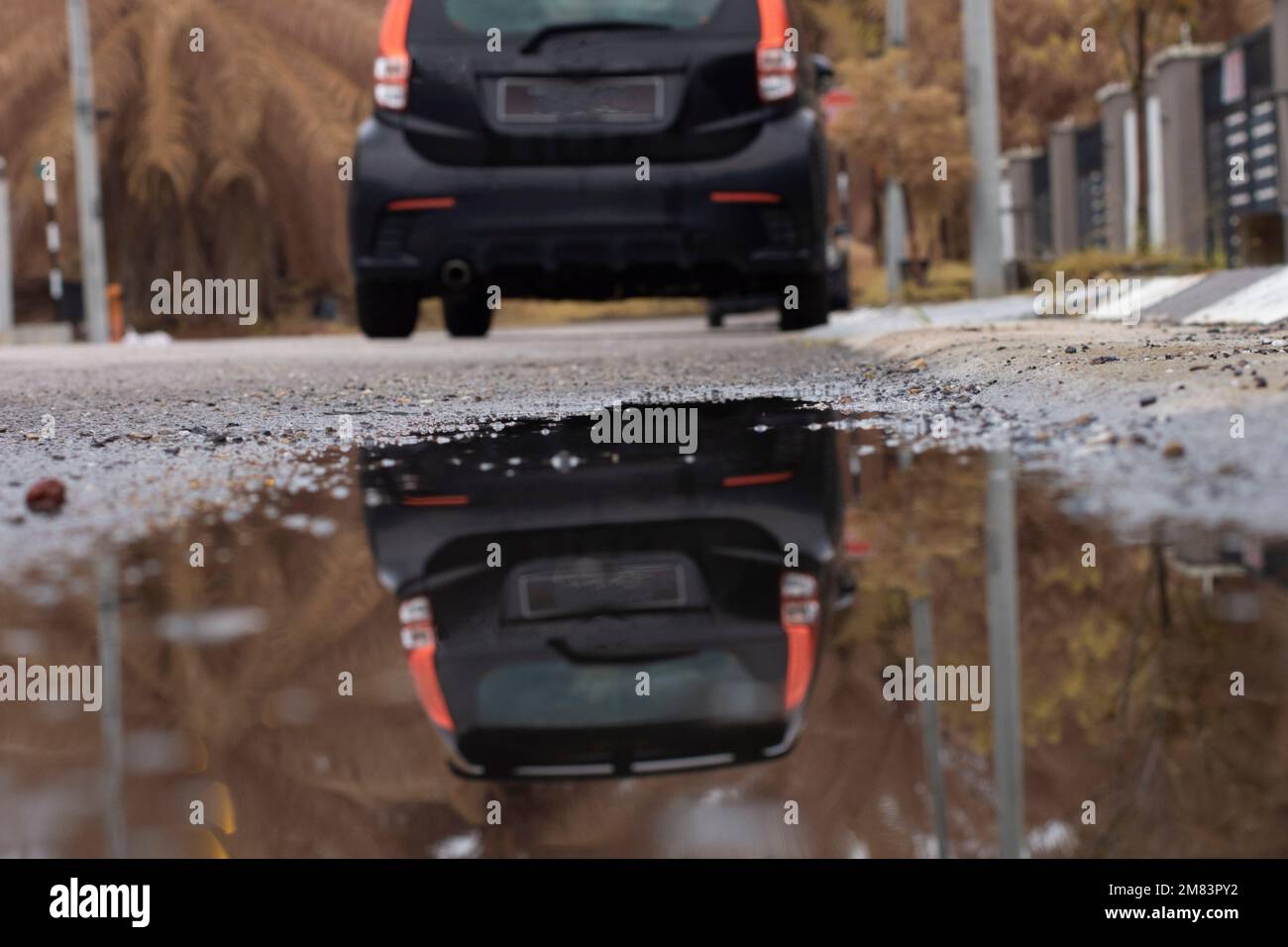 Scene stagnant pool water hi-res stock photography and images - Alamy