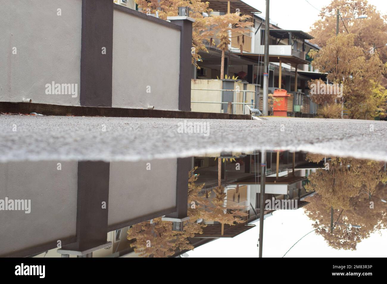 Pavement suburb street grass hi-res stock photography and images - Alamy