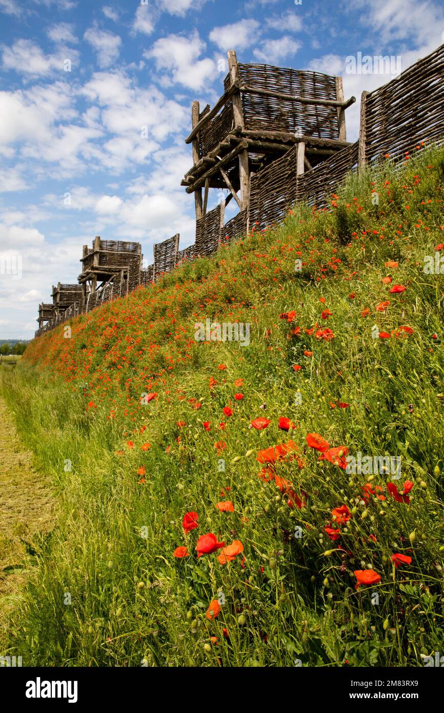 Museoparc alesia hi-res stock photography and images - Alamy