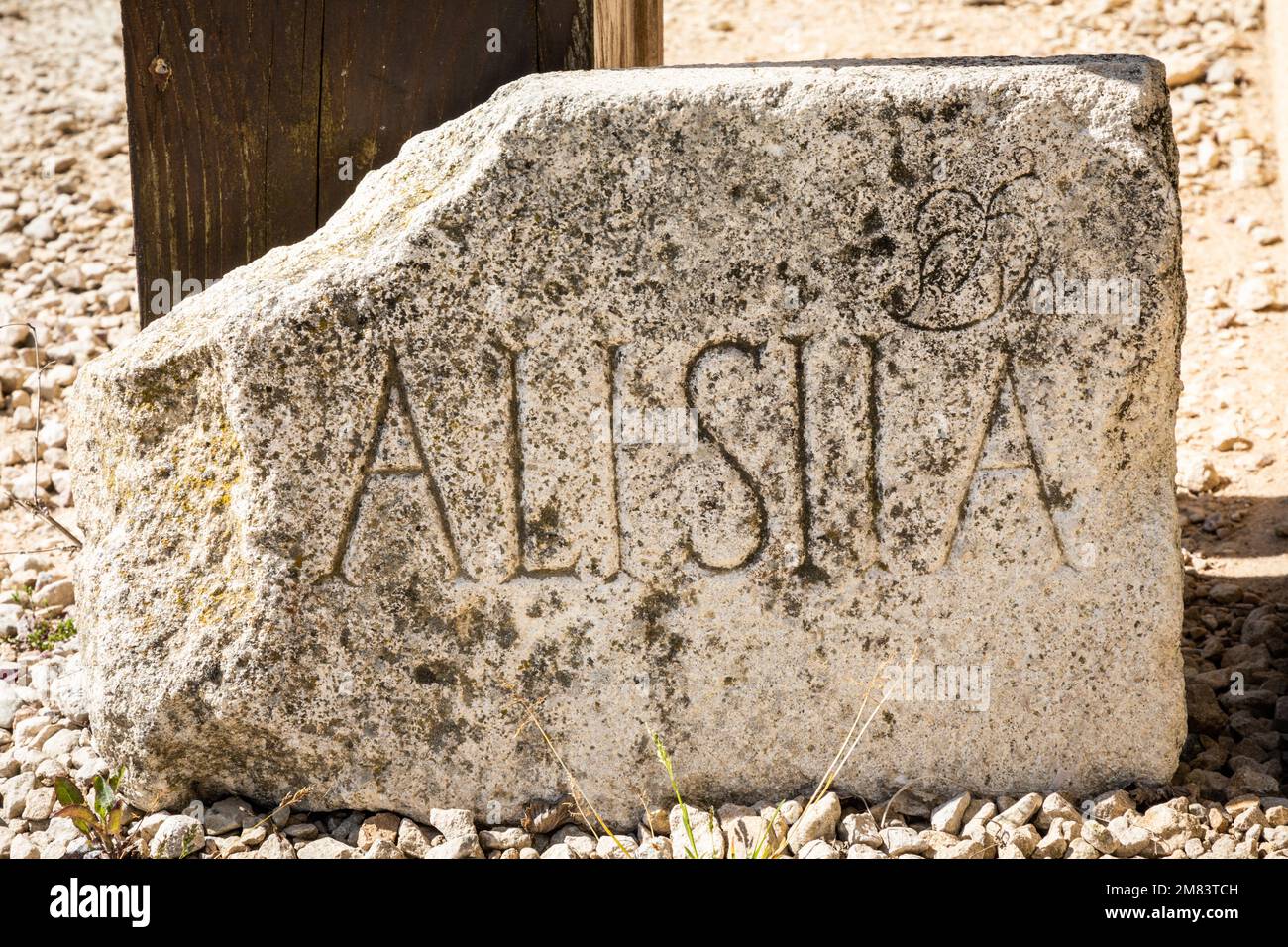 RUINS OF THE GALLO-ROMAN TOWN, ALISE SAINTE REINE, ALESIA, (21) COTE-D ...